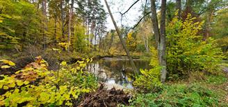 Tleń na rowerze – śladami Napoleona | CentrumRowerowe.pl