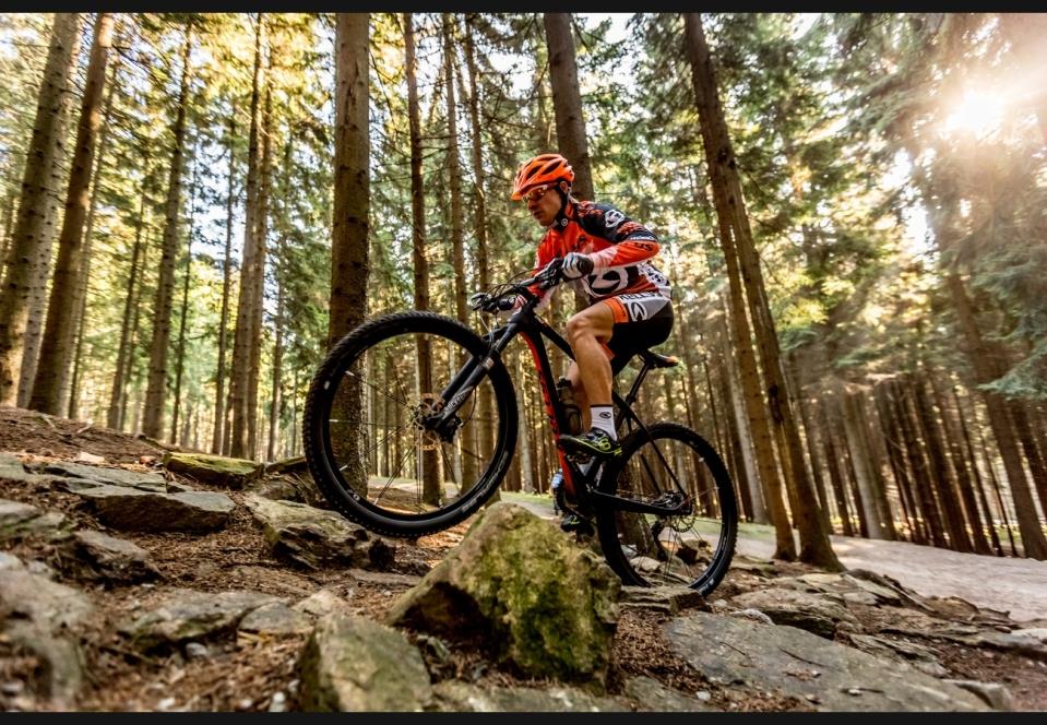 Rower MTB KELLYS Stage 50 2017 | CentrumRowerowe.pl