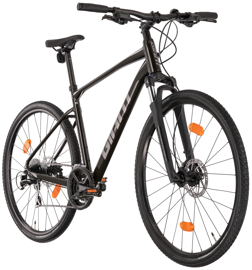 Rower crossowy GIANT Roam 3 Disc | CentrumRowerowe.pl