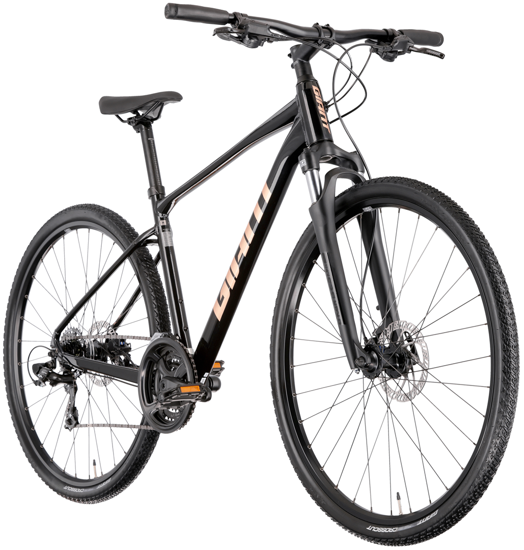 Rower crossowy GIANT Roam 4 Disc | CentrumRowerowe.pl