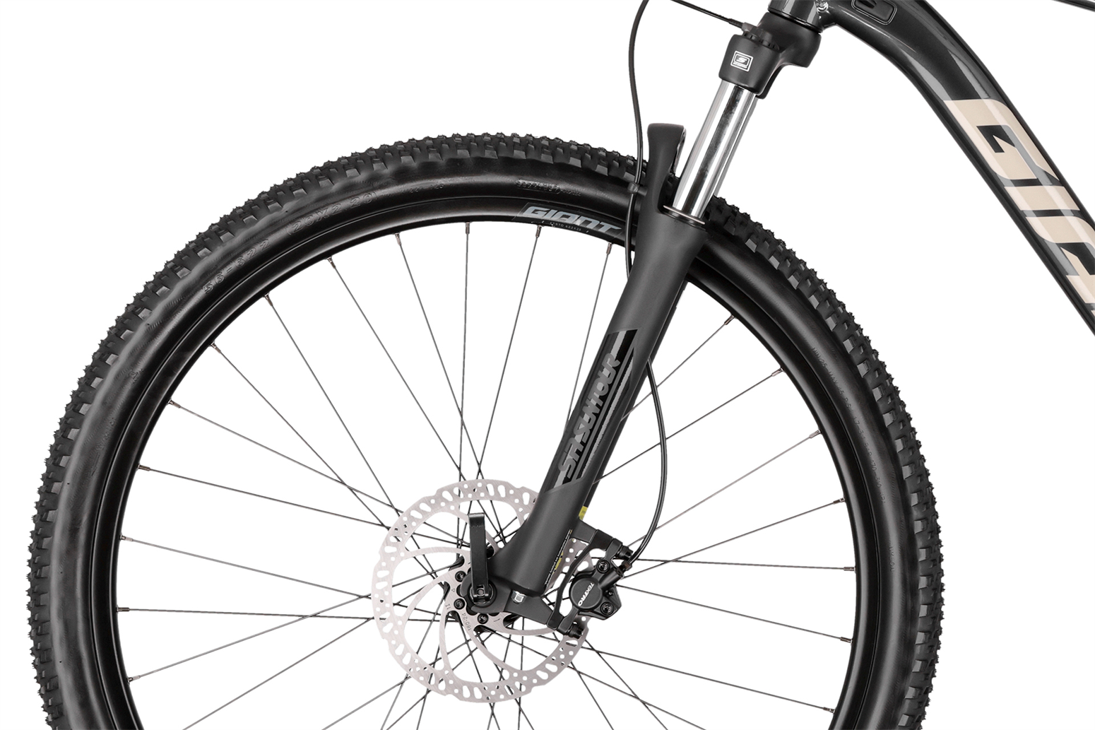 Rower MTB GIANT Talon 3-GE 29 | CentrumRowerowe.pl