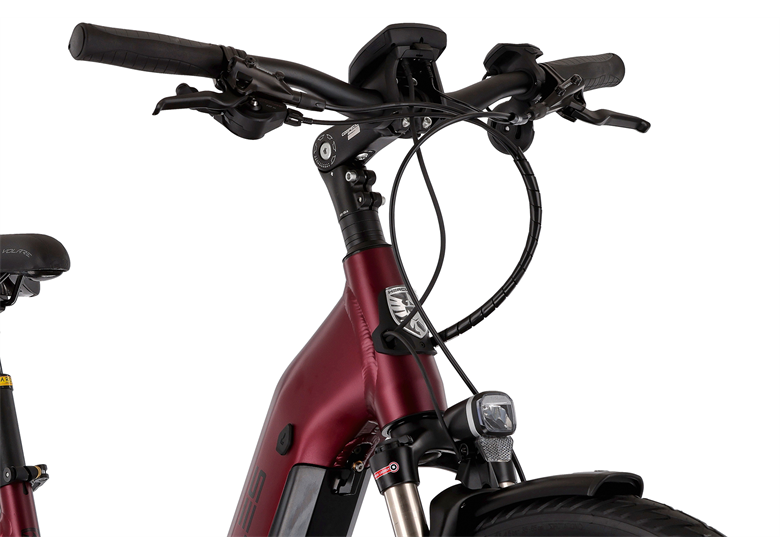 Rower elektryczny HERCULES Futura Comp I-12 Deep Entry - CentrumRowerowe.pl