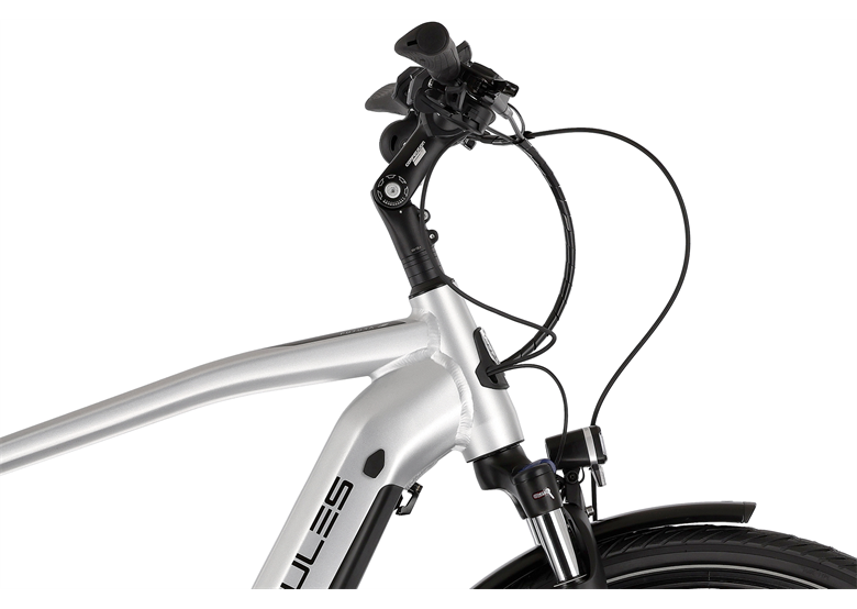 Rower elektryczny HERCULES Futura Sport I-10 - CentrumRowerowe.pl