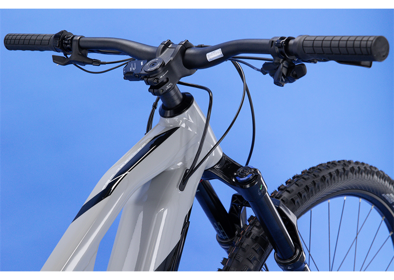 Rower elektryczny R-RAYMON TrailRay 140E 10.0 - CentrumRowerowe.pl