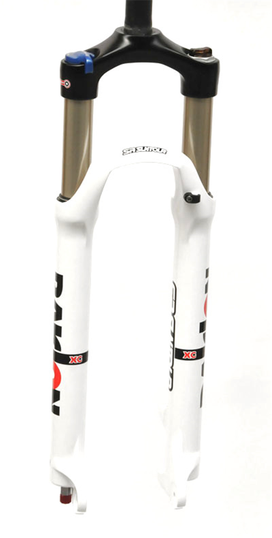 Amortyzator rowerowy SR SUNTOUR Raidon LO-R | CentrumRowerowe.pl